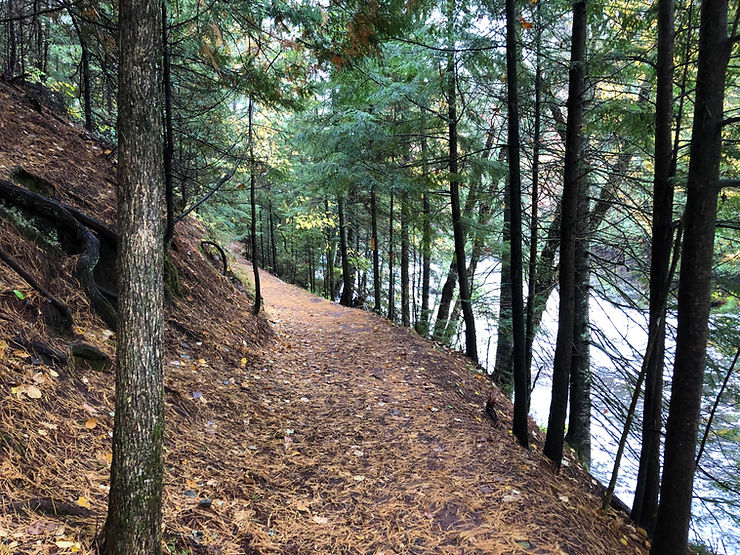 Wilderness: God’s Purpose – Visible God